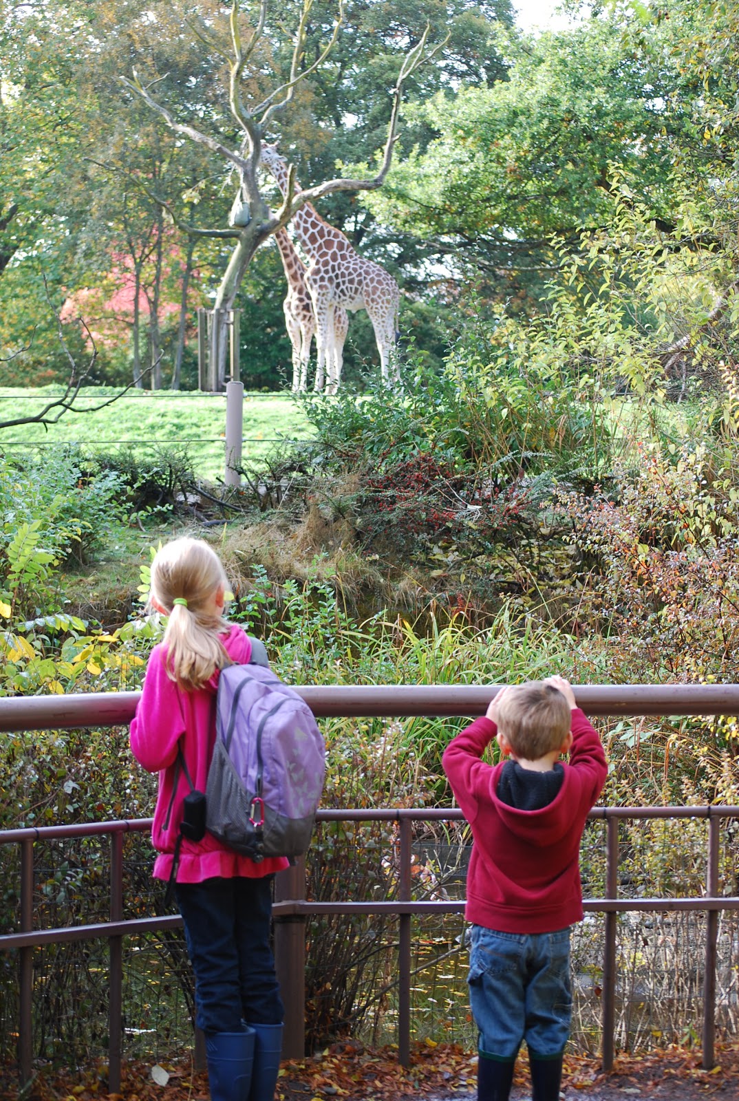 Our Creative Day: Woodland Park Zoo