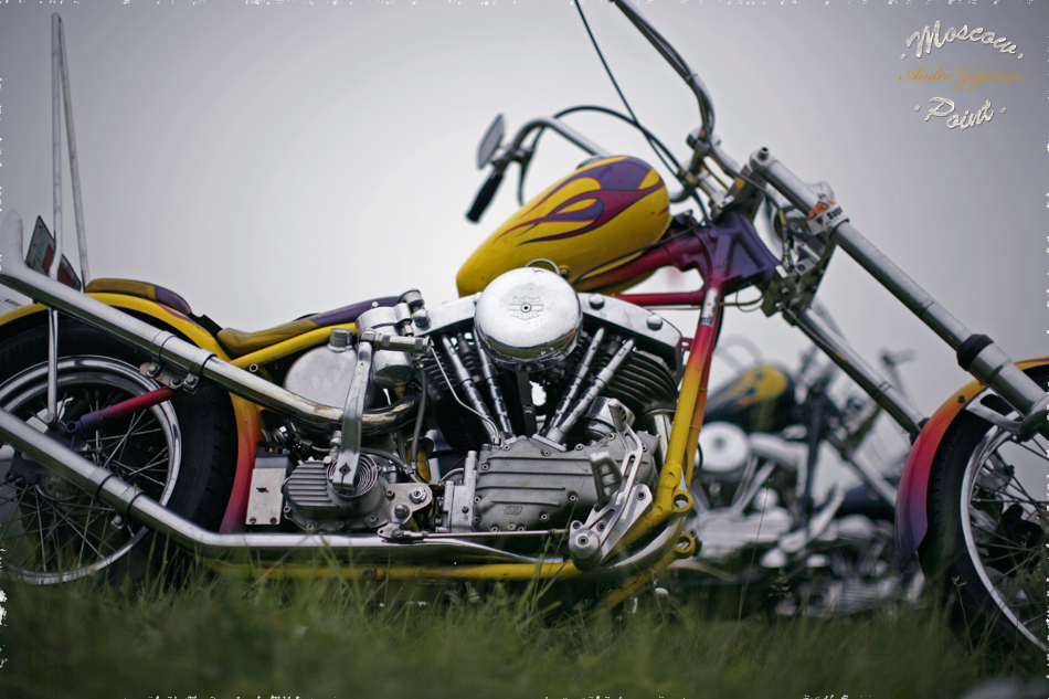 Moscow Point: Chopper.....