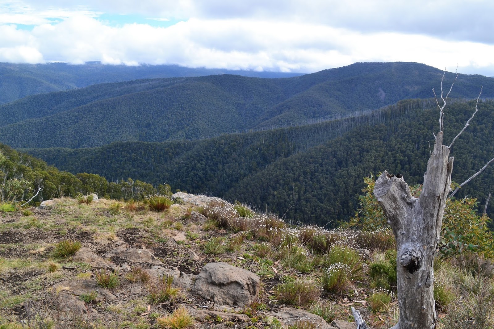 Goin' Feral One Day At A Time: Dinner Plain to Precipice Plain, Alpine ...