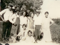 KREBS / KURTZ Connections