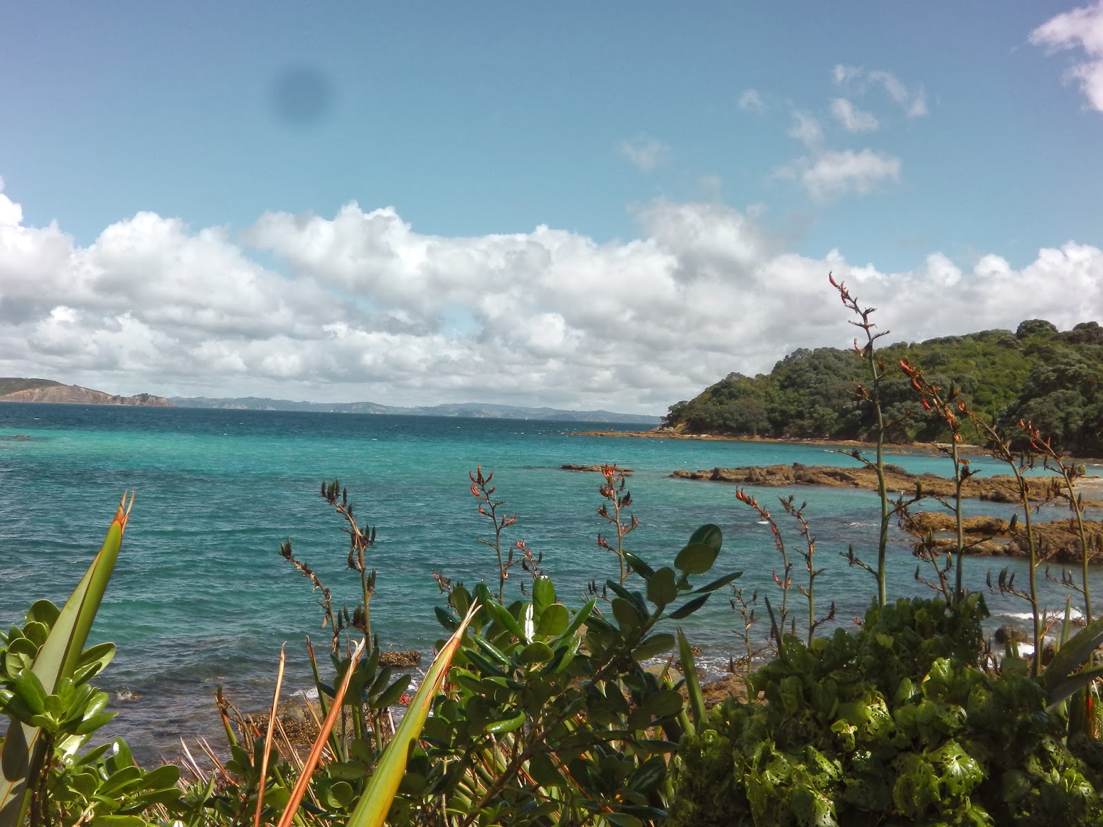 Revealing New Zealand: Tiritiri Matangi Island with 360 Discovery Cruises