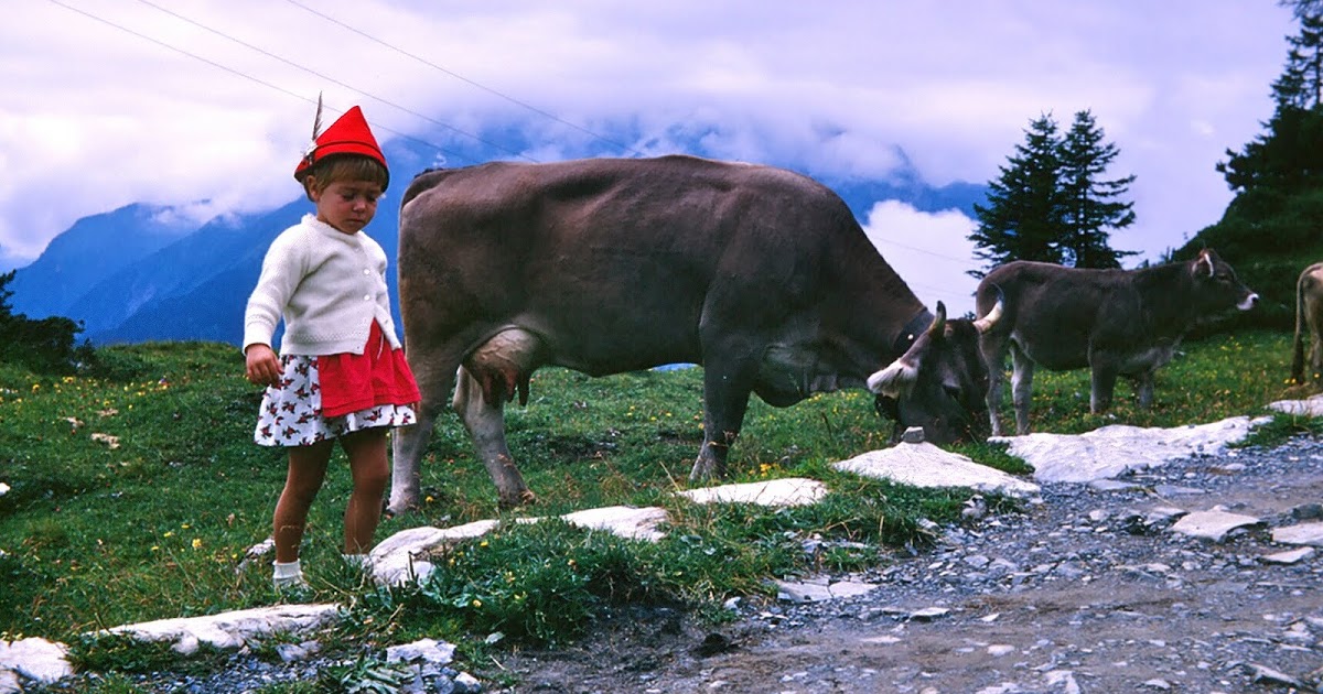 To Europe With Kids: Photo Friday: I Love Alpine Cows