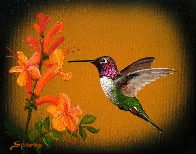 SPARKS ART: ANNA'S HUMMINGBIRD IV