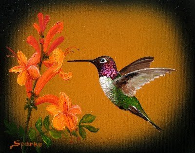 SPARKS ART: ANNA'S HUMMINGBIRD IV