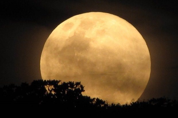 INFORMATIVO GIRASSOL: UMA LUA MARAVILHOSA NA NOITE DE NATAL! E TEM MAIS ...