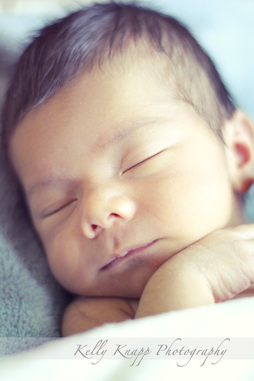 Kelly Knapp Photography