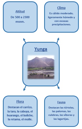 HACIA UN PERÚ MEJOR!! : REGIONES Y ECORREGIONES DEL PERÚ
