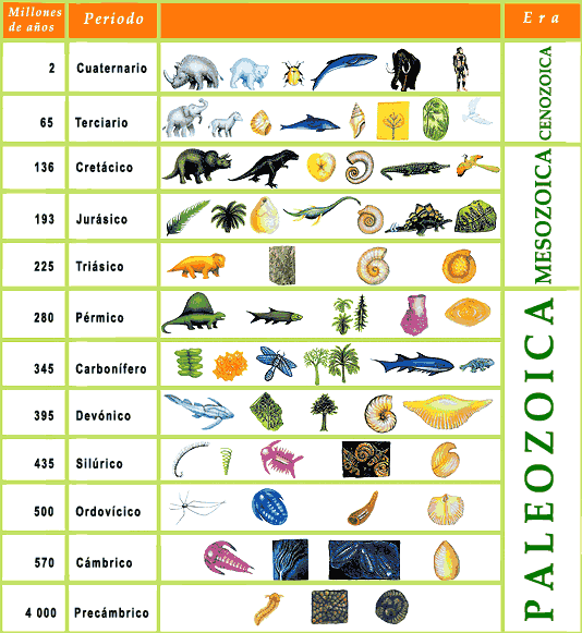 Eras Geológicas: Era Paleozoica
