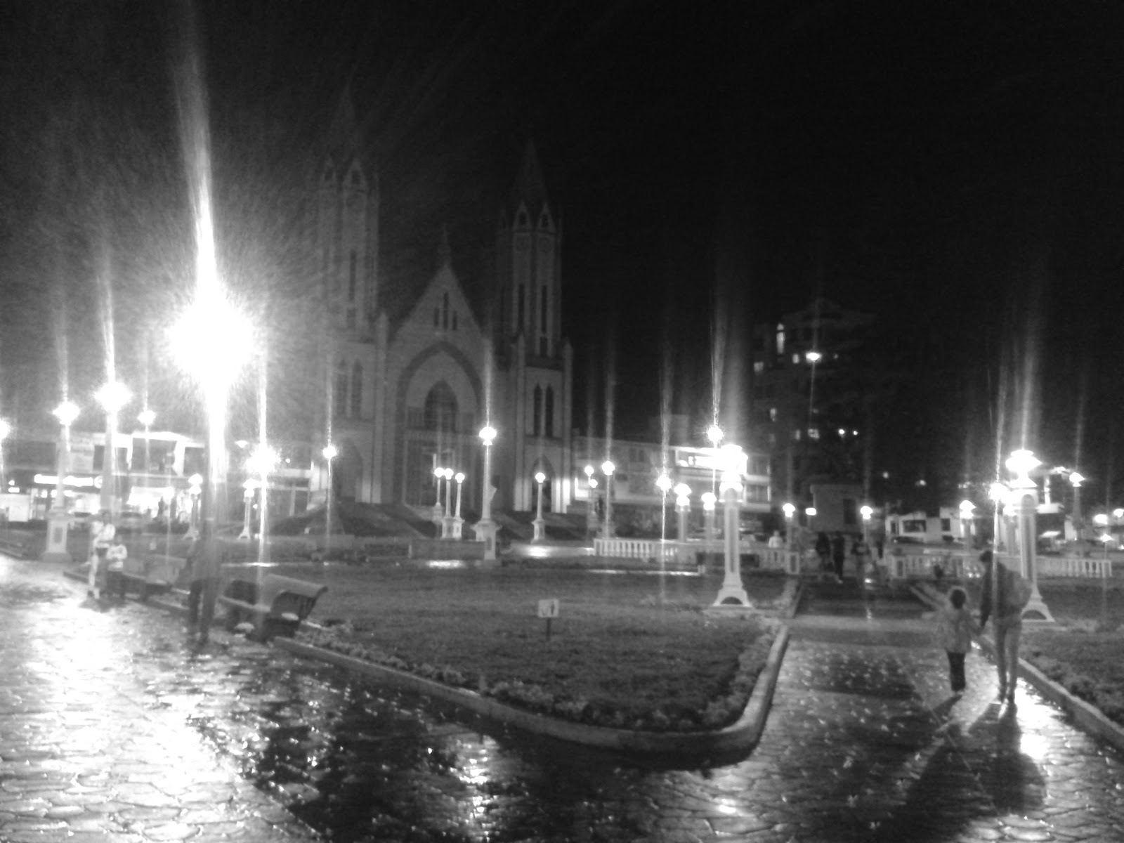 SANTA ROSA DE CABAL: PARQUE DE LAS ARAUCARIAS.