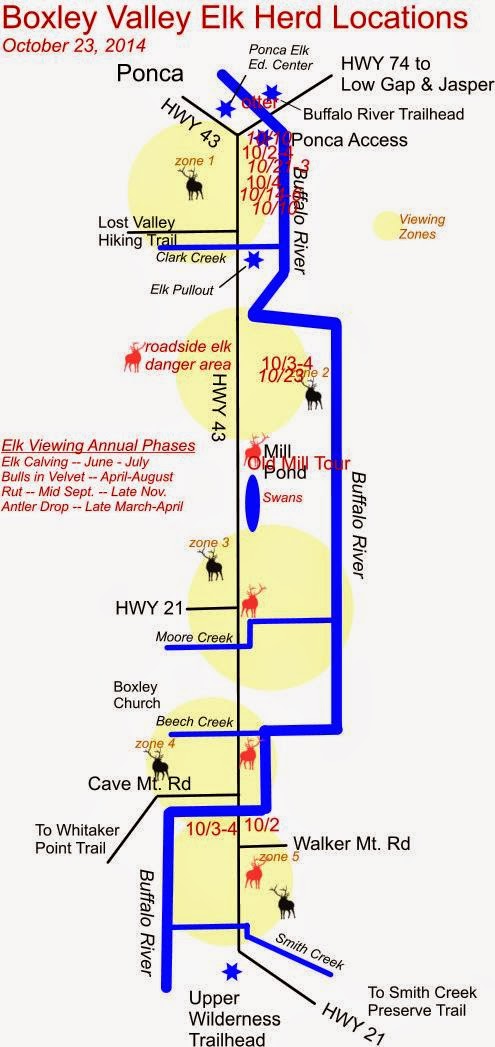 Arkansas Wildlife Photography