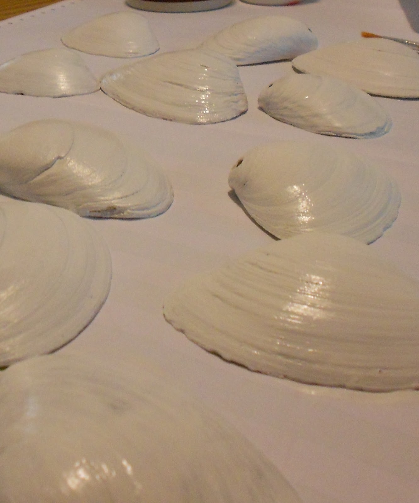 1022 Sea Shell Ave: The Process of Hand Painting Sea Shells