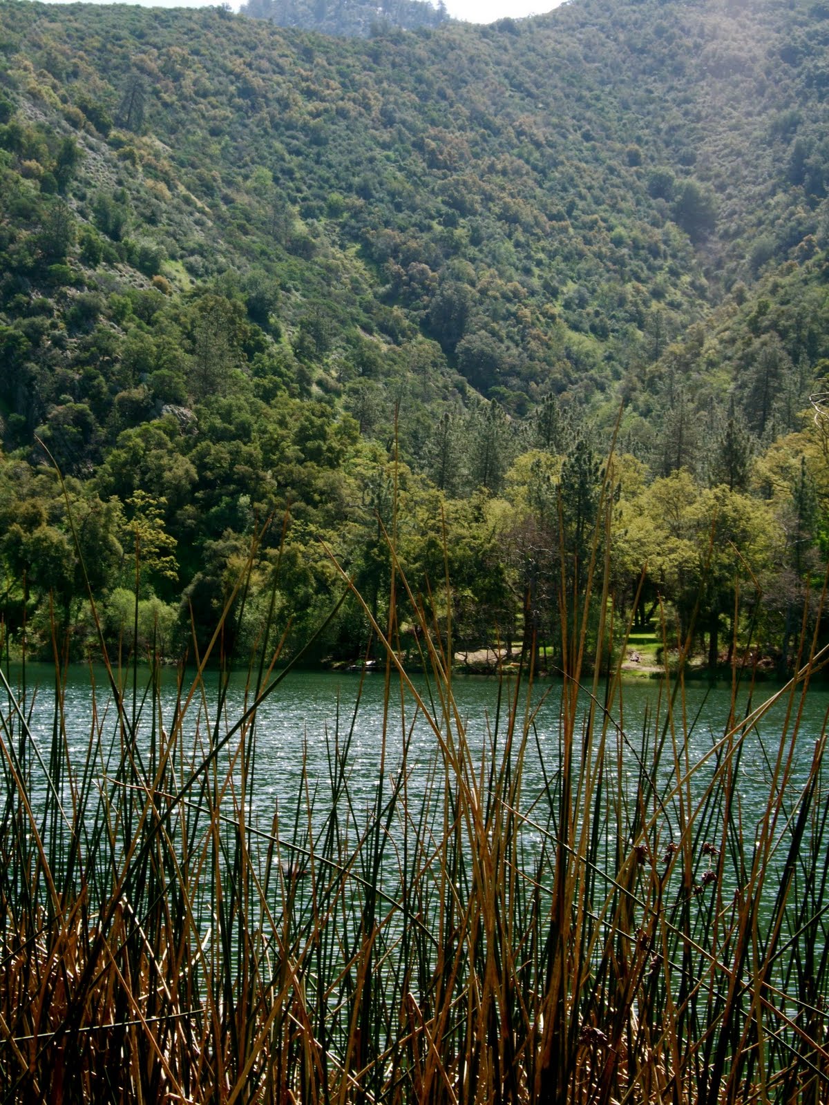 Our Vanagon Adventures: Spring Break 2011: Zaca Lake