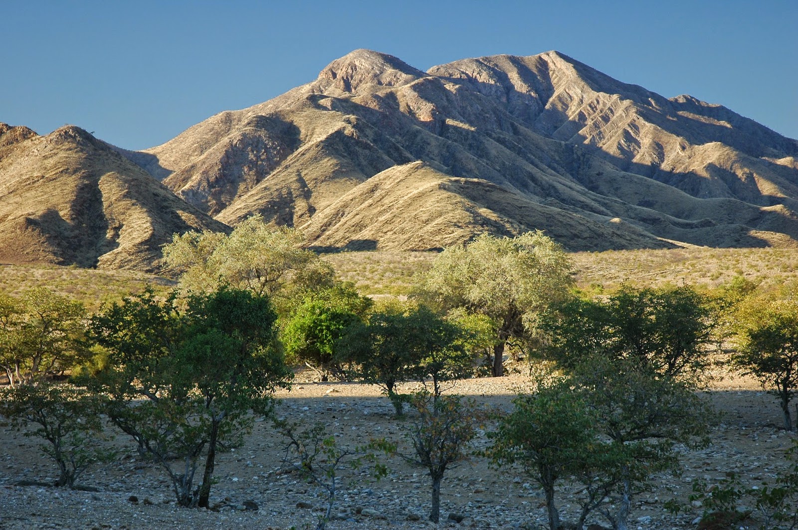 Namibia Reservations: Explore Kaokoland - Namibia