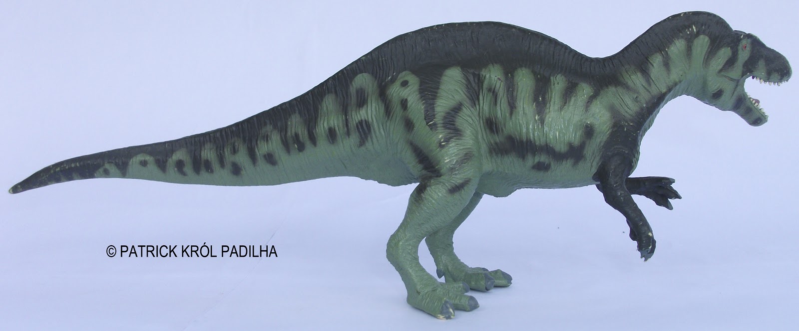 Dos Fósseis ao Plástico!: ACROCANTHOSAURUS ATOKENSIS (BATTAT)