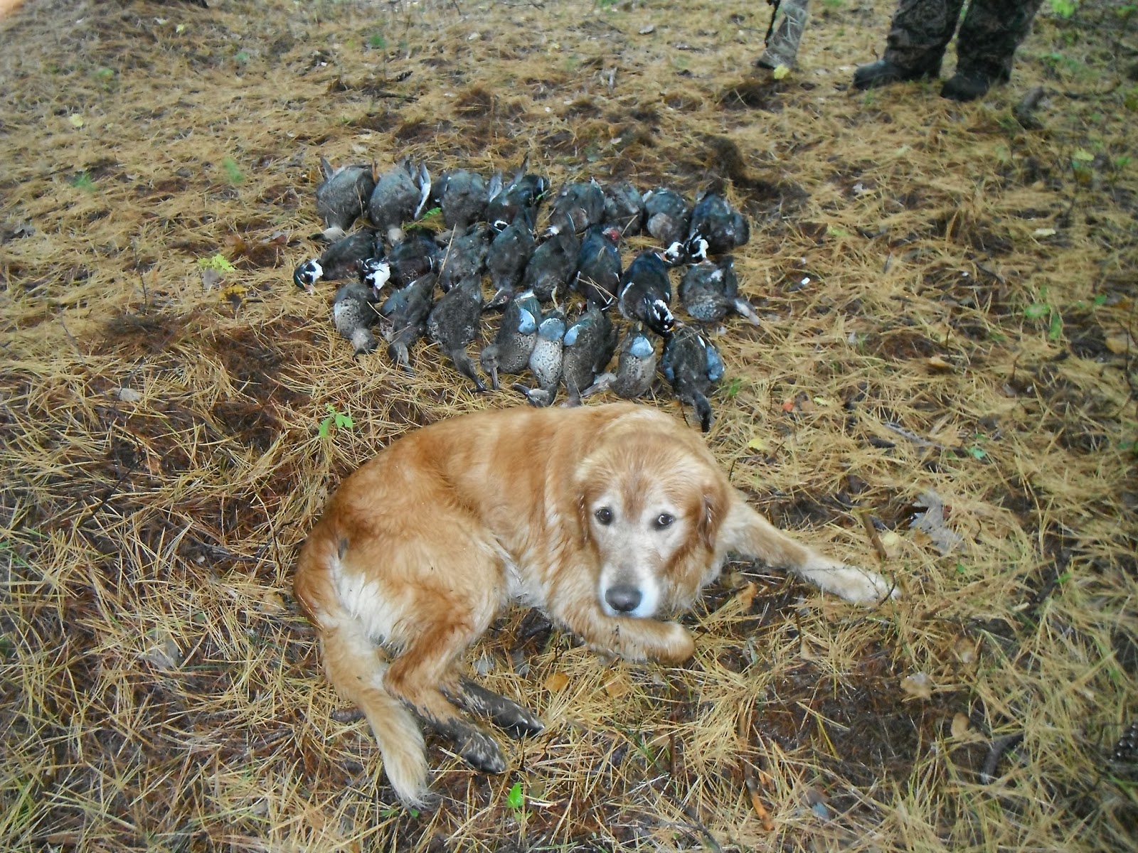 WHAT'S NEW AT HARGROVE AND BAUER OUTDOOR ADVENTURES: FALL HAS ARRIVED!