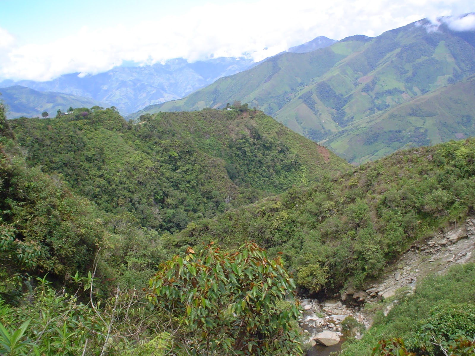 SANTA RITA DE ITUANGO ANTIOQUIA, COLOMBIA.(HOY SANTA RITA DE SINITAVÉ ...