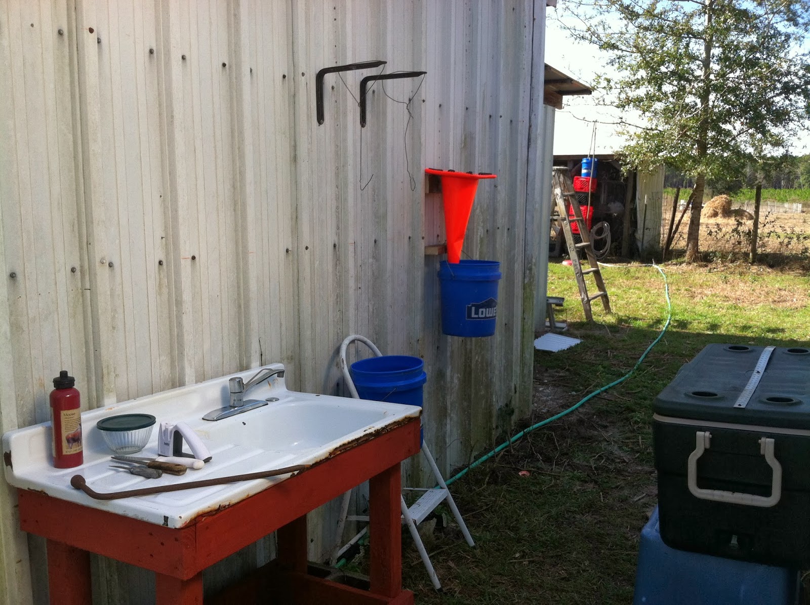 Scurvy Elephant Farm: Rabbit Processing Day.......