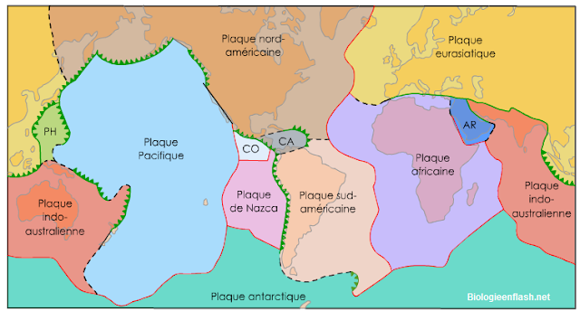 La tectonique des plaques animation flash | Biologie en flash