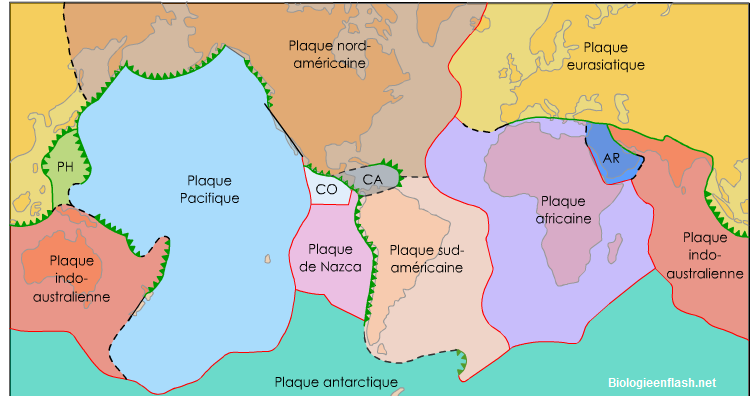 La tectonique des plaques animation flash | Biologie en flash