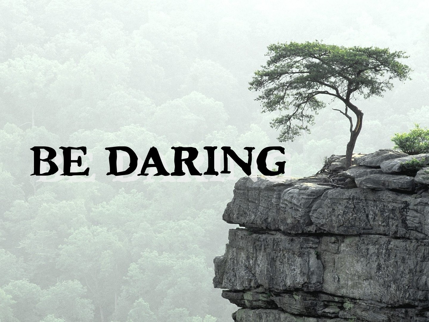 Brother EDEN Douglas: BE DARING