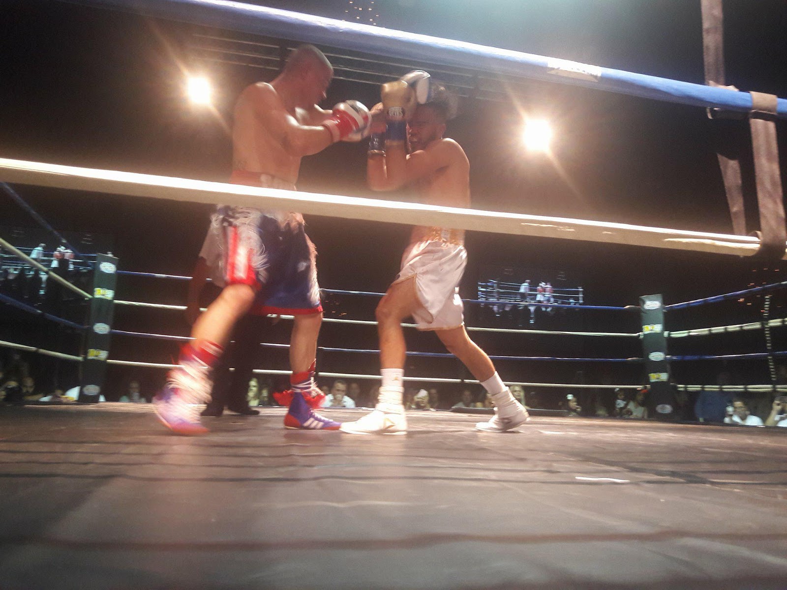 Utah MMA and Boxing : Gomez wins ABO title but fails to stop resilient ...