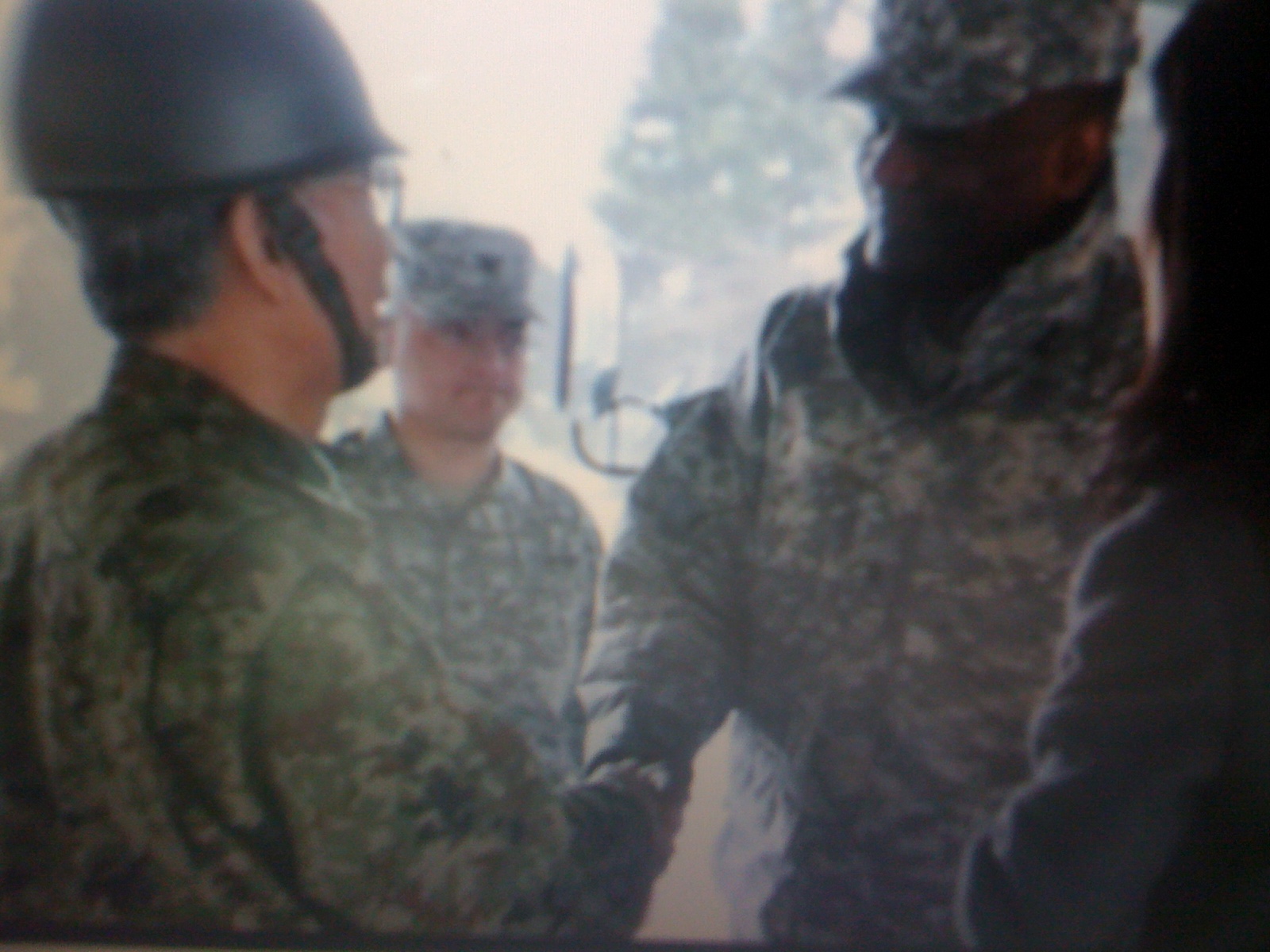 THE BLACK SOCIAL HISTORY:: BLACK SOCIAL HISTORY : AFRICAN AMERICAN ...