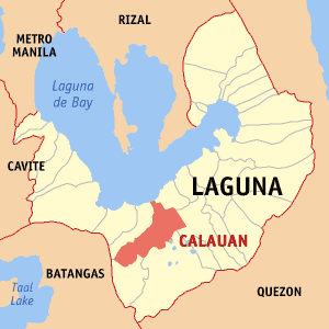 Top 10 Festivals of the Province of LAGUNA: Calauan, Laguna - Pinya ...