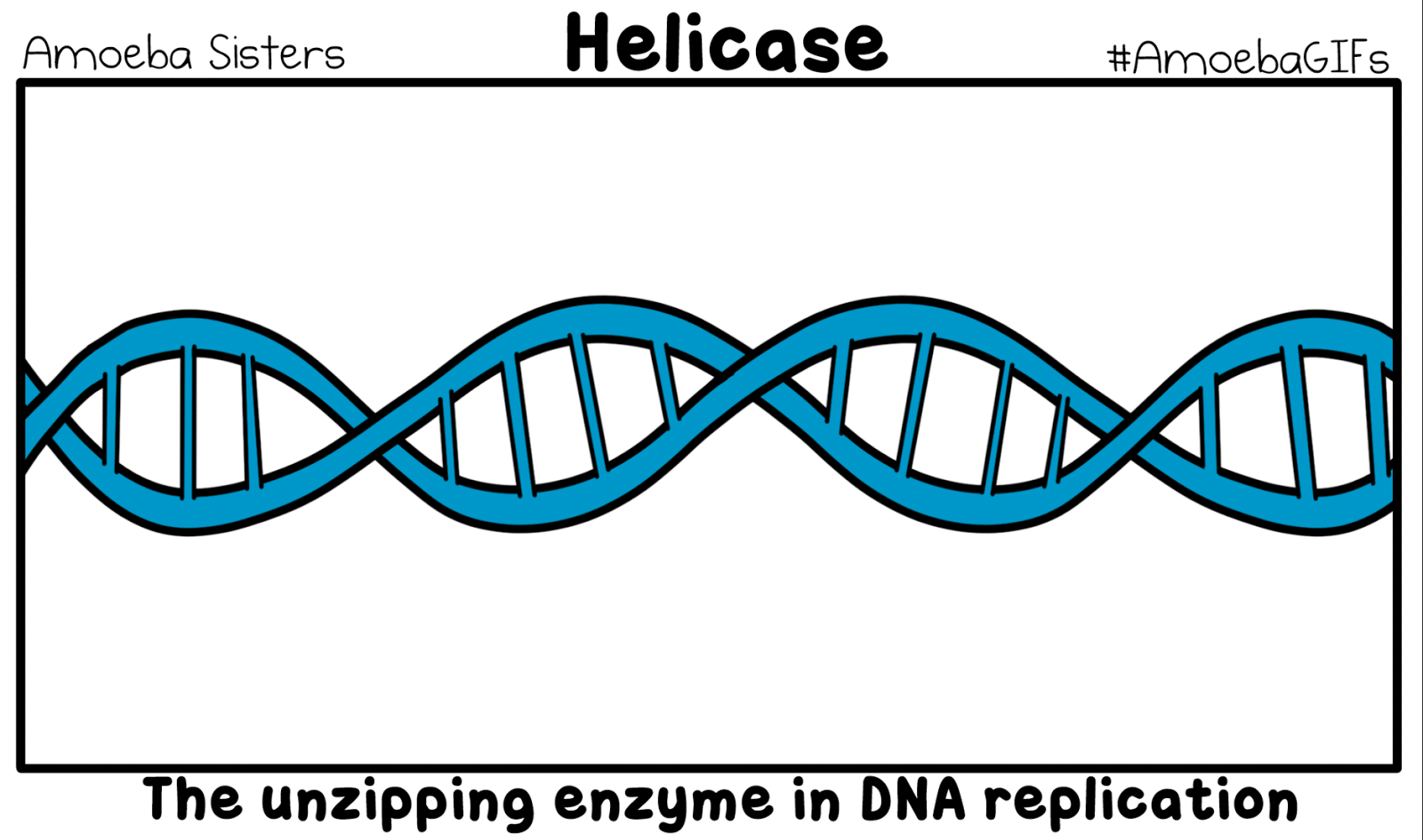 Chapter 12: DNA - Biology