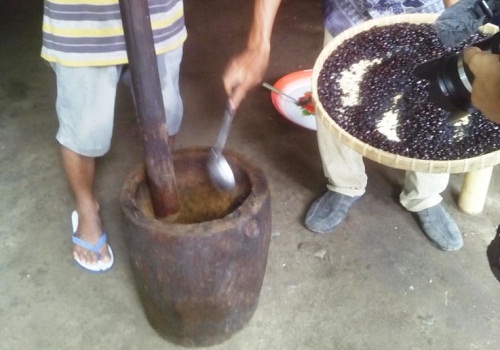 Cara Mudah Proses Pengolahan Kopi