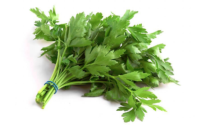 ANPP Animales y Plantas de Perú: Perejil - Petroselinum crispum