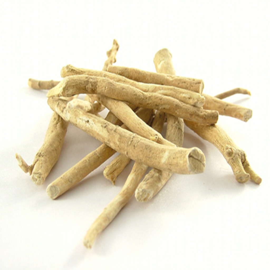 Canal Salud y Belleza Natural: Ashwagandha, La panacea india