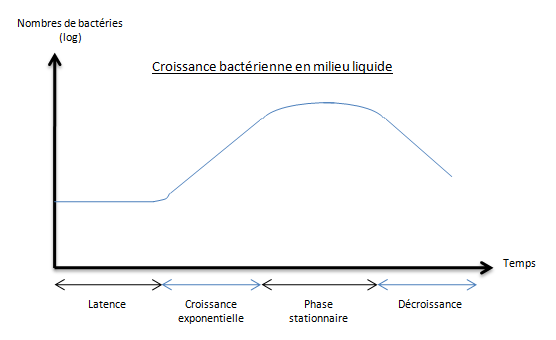 Espace Techniciens de Laboratoire: Croissance bactérienne