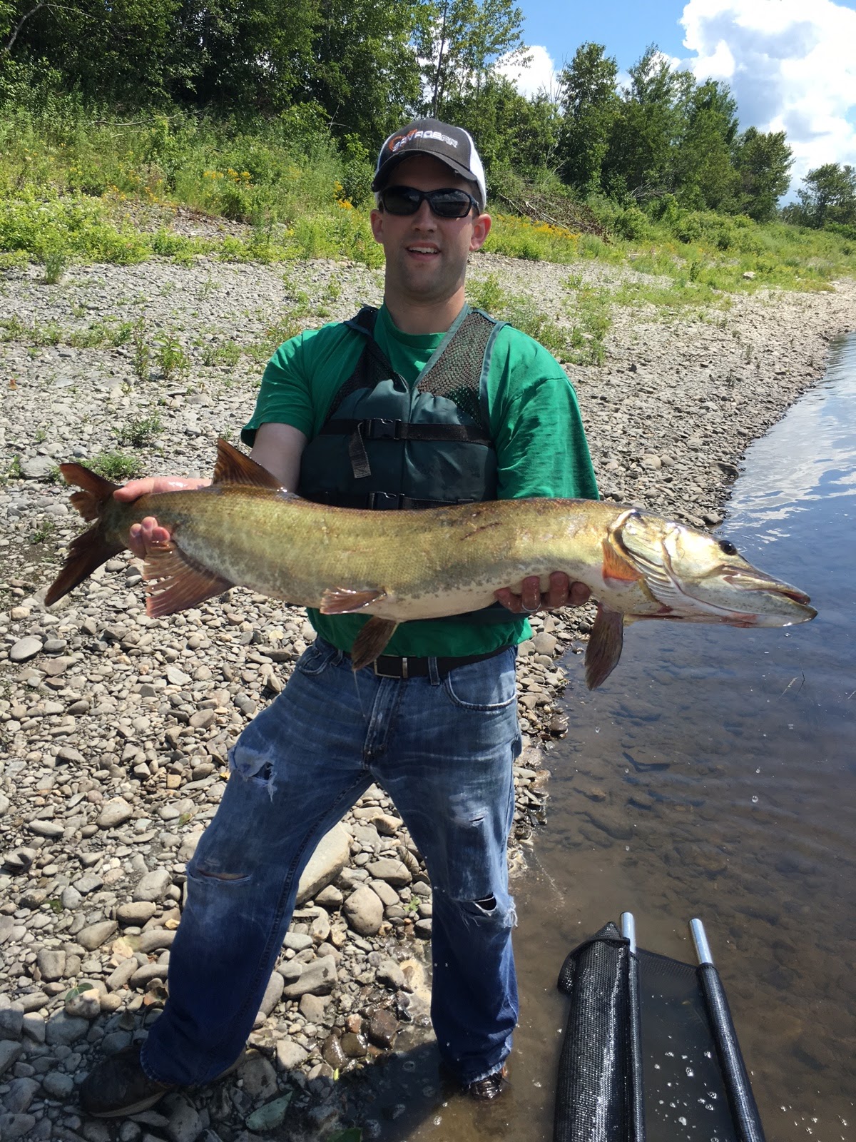 Northern Maine Ridge Runners and River Rats: Muskie Mania!!