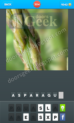 Zoomed In - Photo Word Game Level 304 ~ Doors Geek