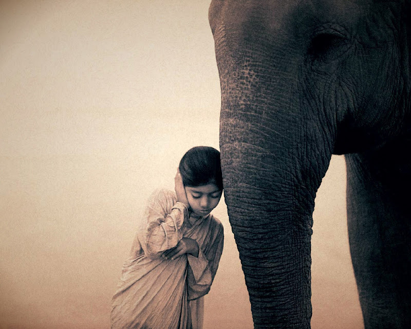DRAGON: Gregory Colbert / The Poet