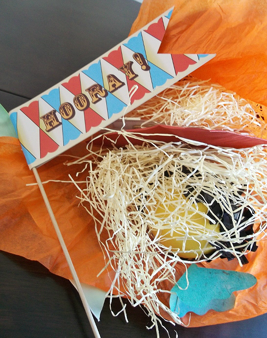 Momma Told Me: TOPS Malibu: Objects of Everyday Wonder Review