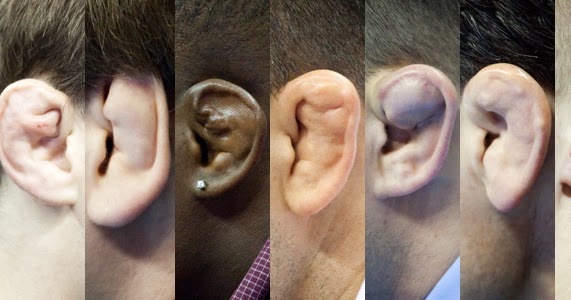 SpecialK: Things You Don't Know About Rugby