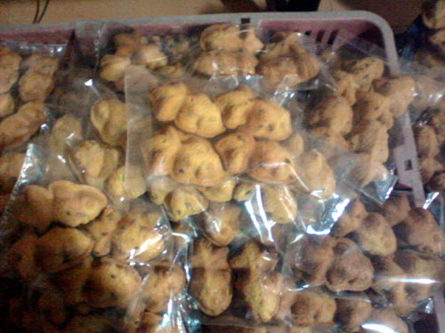 Kuih Raya 2018: Bahulu Ikan Coklat Rice