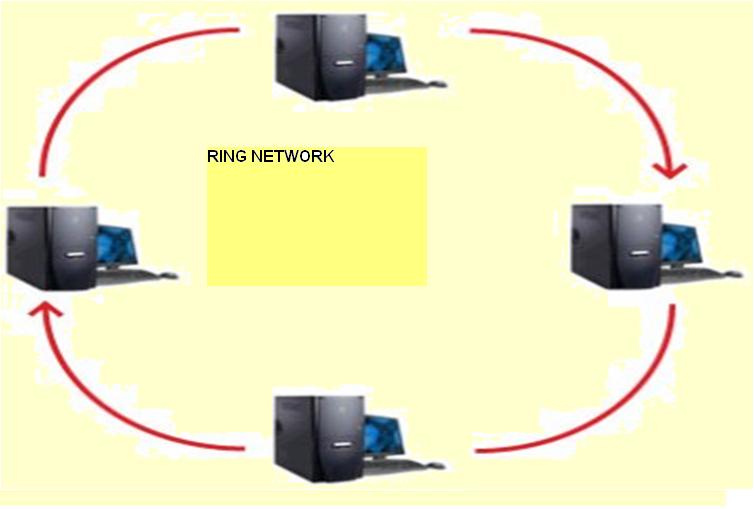 Networking(DCCN): Topologies
