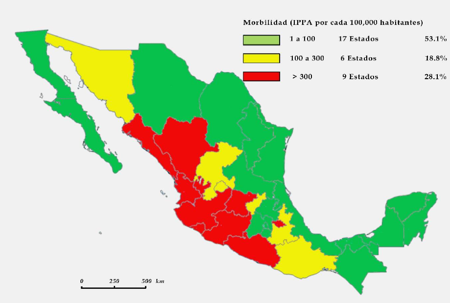 The Scorpion Files Newsblog: Dangerous scorpions in Mexico and how to ...