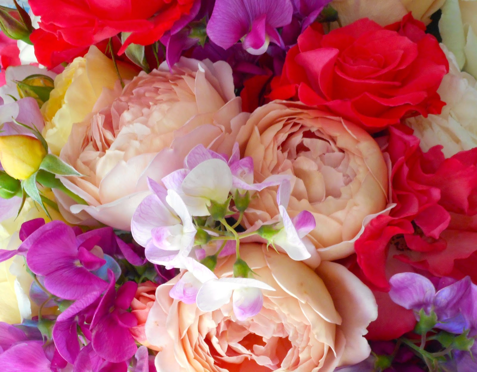 A Year In The Garden: Riveting Roses