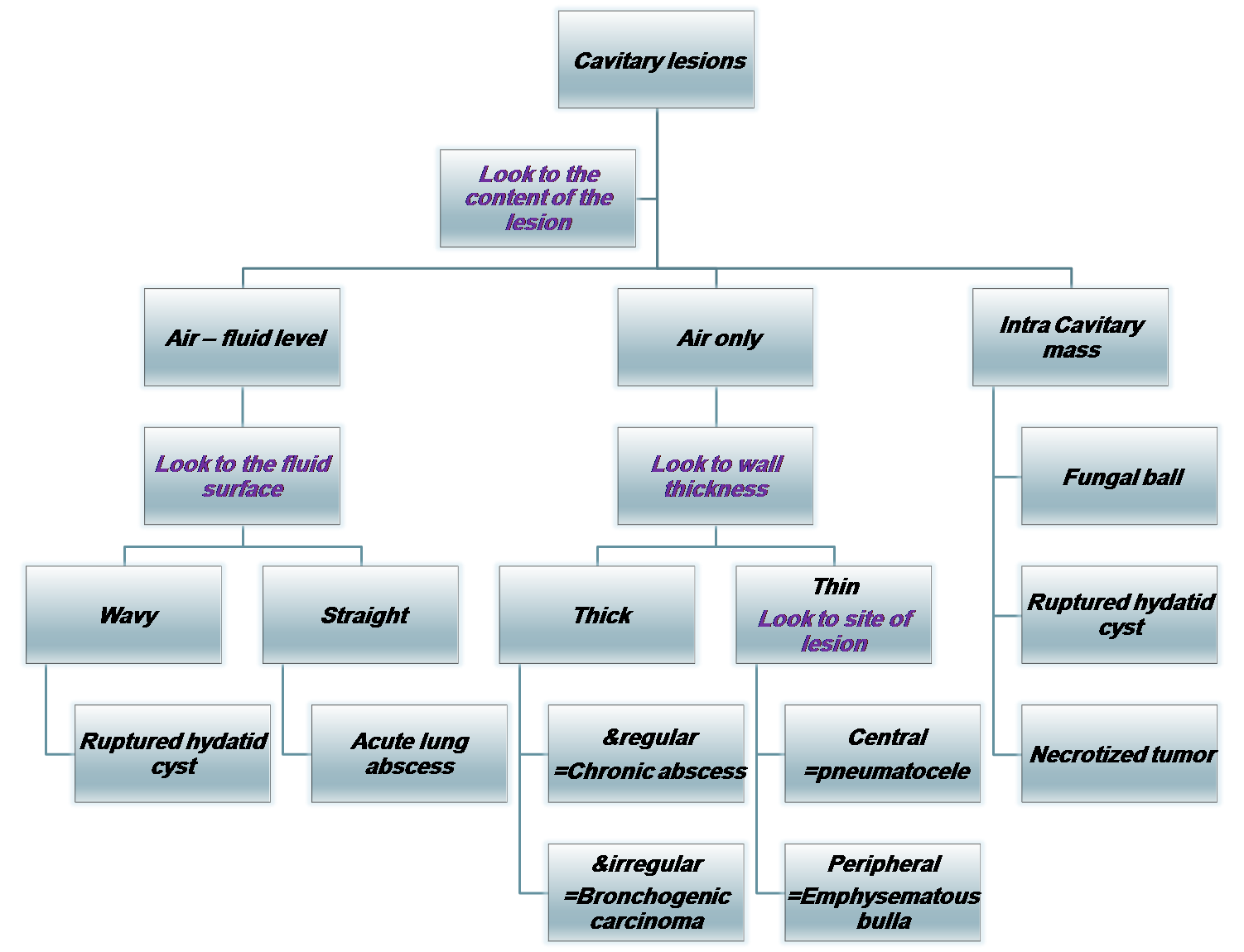 Radiology Pearls: D.D.of pulmonary cavitary lesions