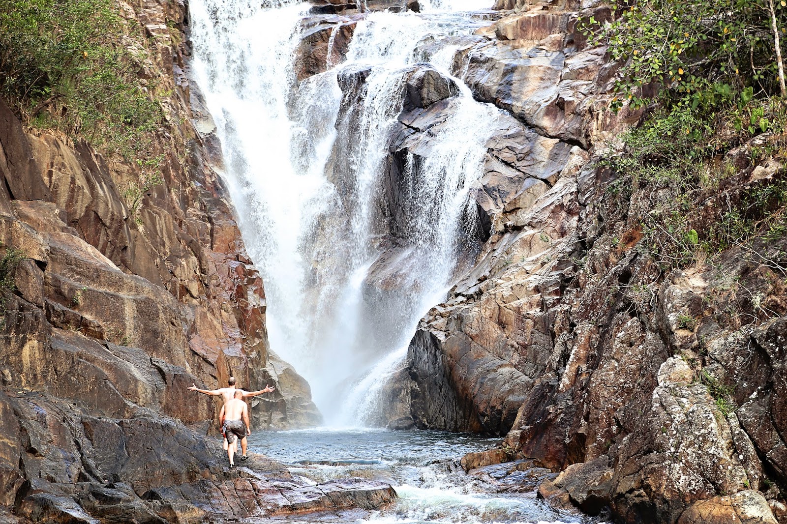 A Feathered Nest: Belize - Part 1