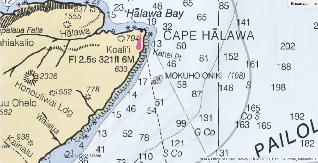 David Burch Navigation Blog: Chart Symbols: Rock or Coral on RNCs and ENCs