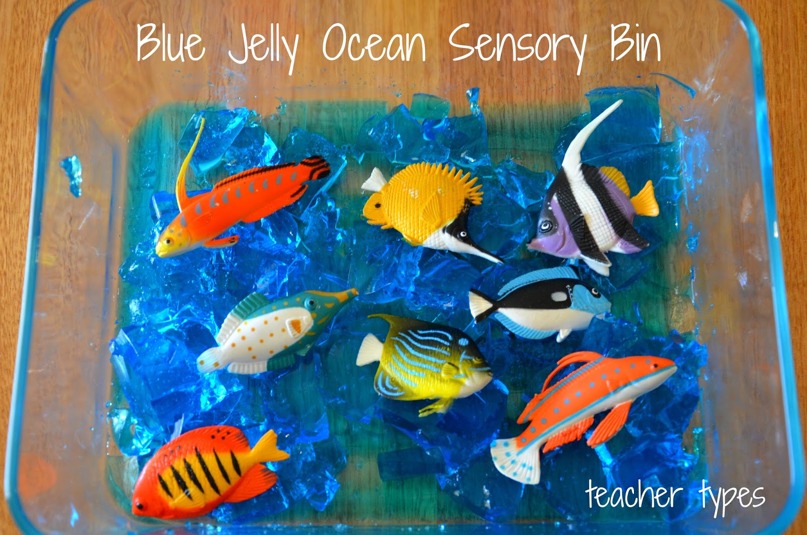 10+ Ocean Themed Activities for Your Finding Dory Fan - Teacher Types