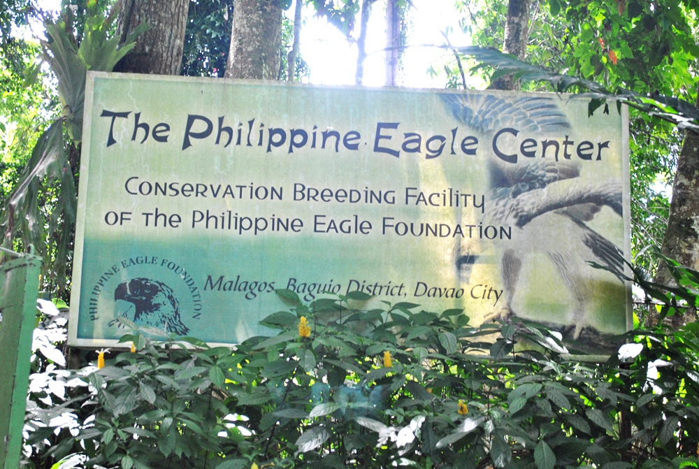 Mga Lakwacherang Doktora: The Davao Experience: Harboring "Pag-Asa" at ...