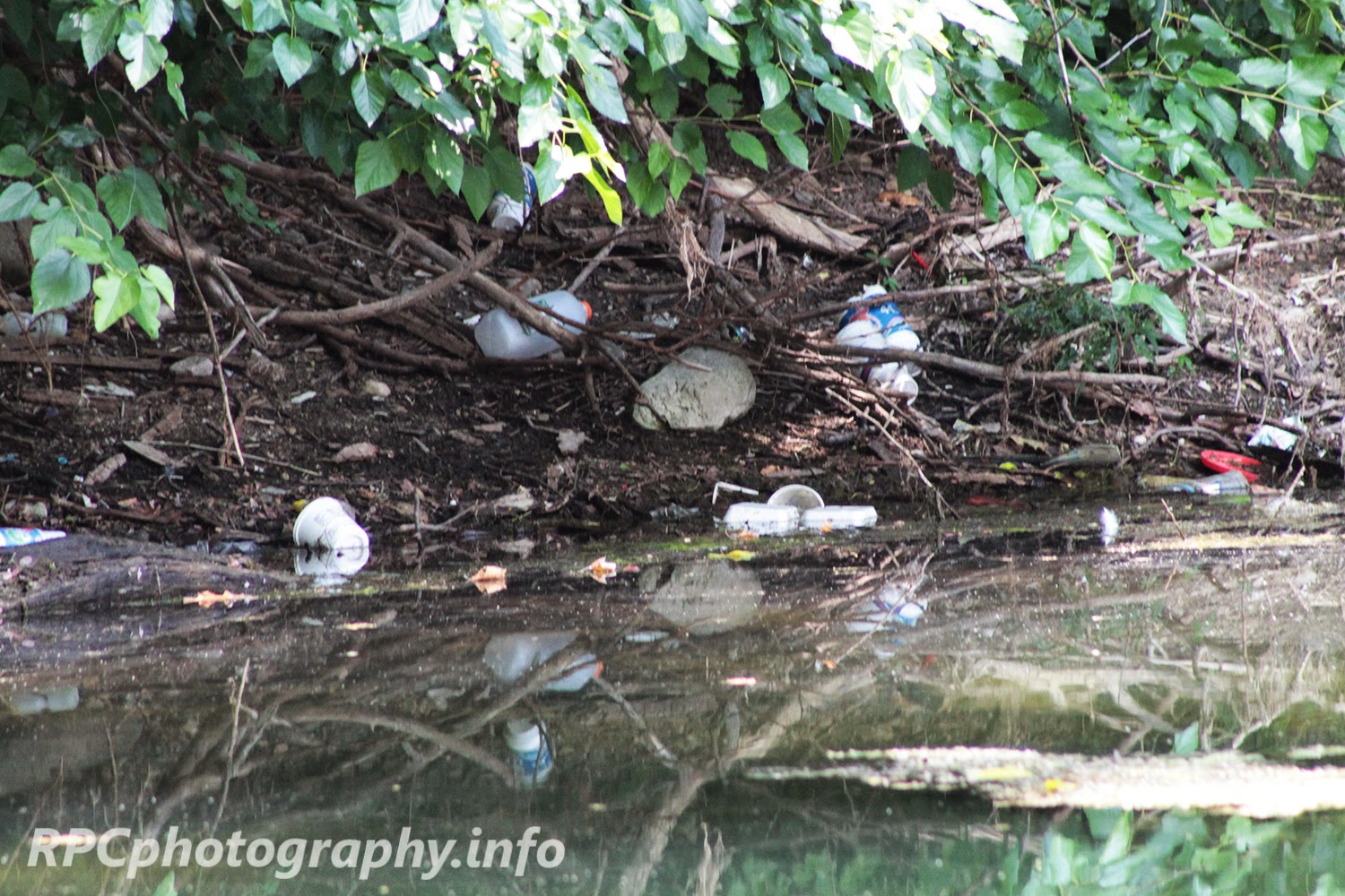 R.p.C Photography: John Conner Nature Preserve Trail Park (AKA Smalleys ...
