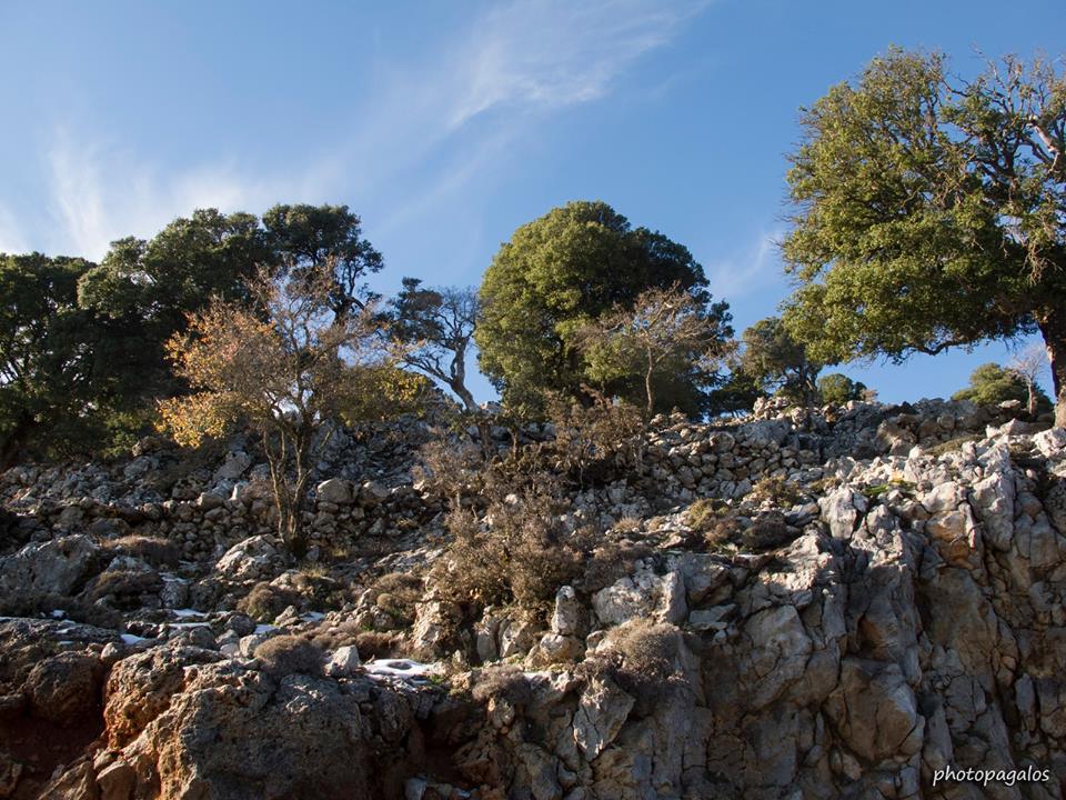 EXPLORE MOUNTAINS: ΣΤΟ ΚΑΛΝΤΕΡΙΜΙ : ΟΡΟΠΕΔΙΟ ΚΑΘΑΡΟΥ-ΚΡΙΤΣΑ