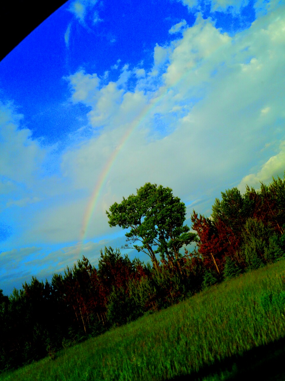 Let A Girl Show You How! (Becky Williams): The Hike, (High Country ...