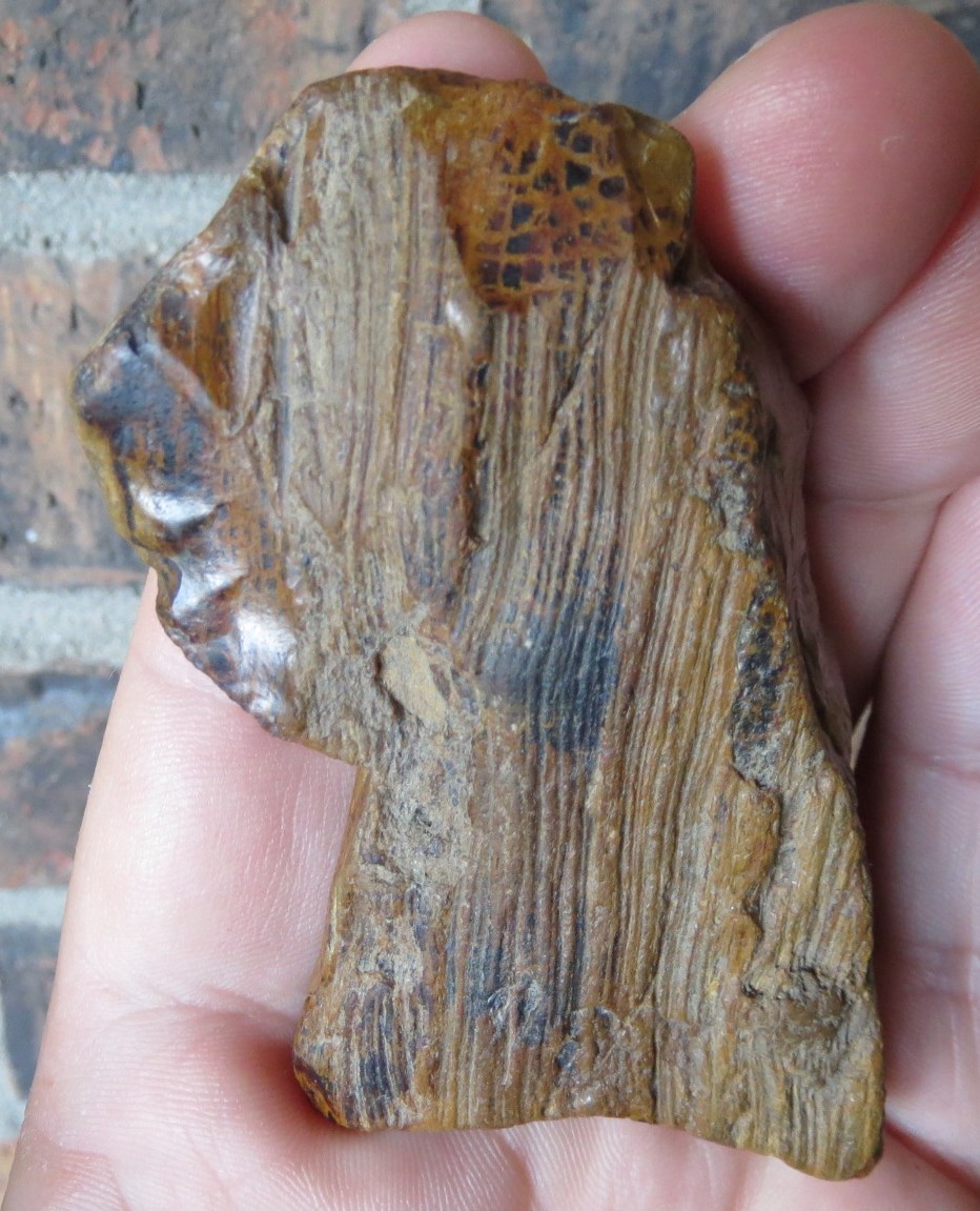 Archaeology of Portable Rock Art: Carved petrified wood human head ...
